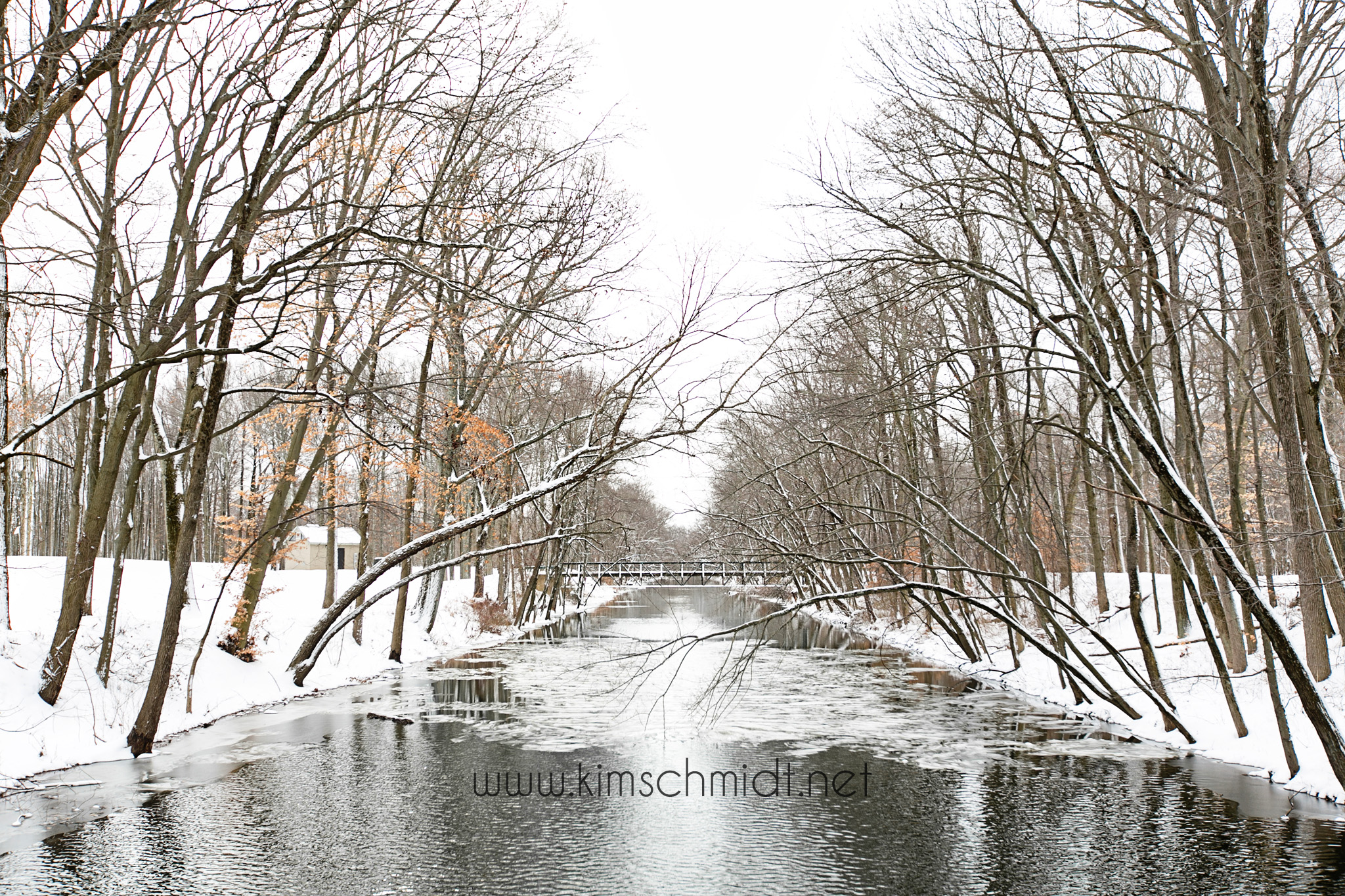 snowy princeton » Kim Schmidt Photography LLC | Northern Virgina Family ...