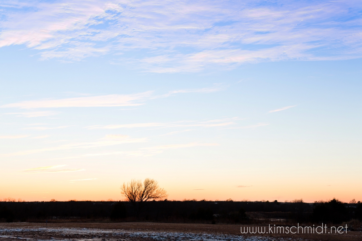 the lone tree | oklahoma sunsets » Kim Schmidt Photography LLC ...